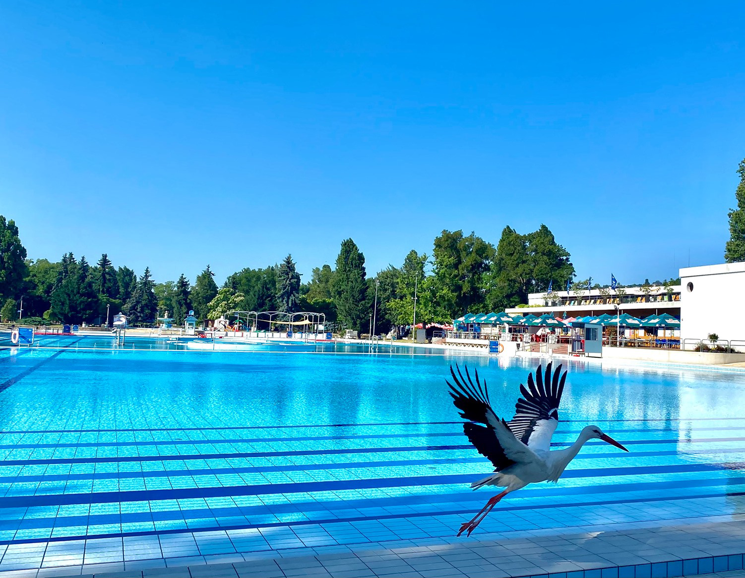 Budapest's Summer Splash: City Beaches and Pools Open for the Season ...