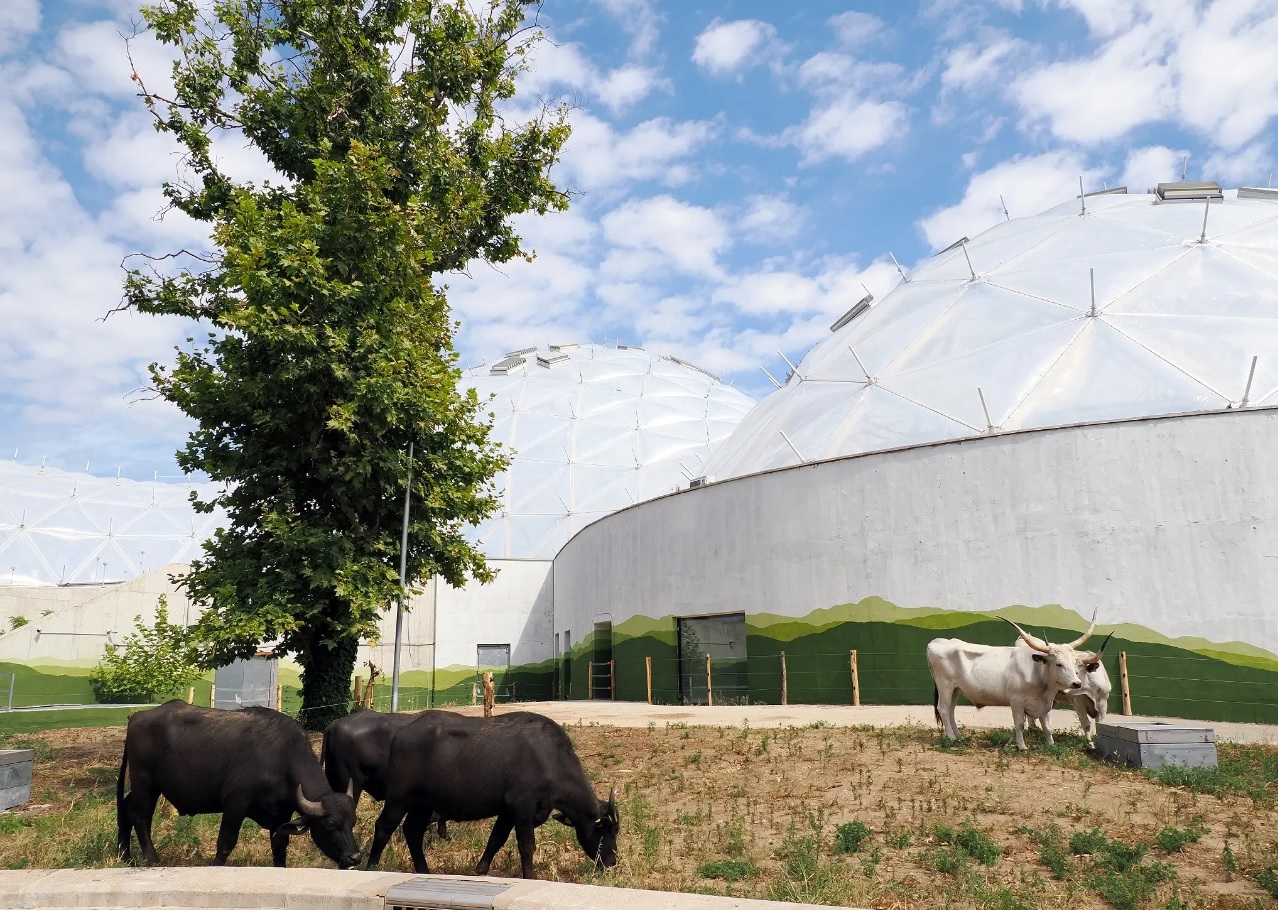 The Biodome Opens in Budapest - BudAPPest