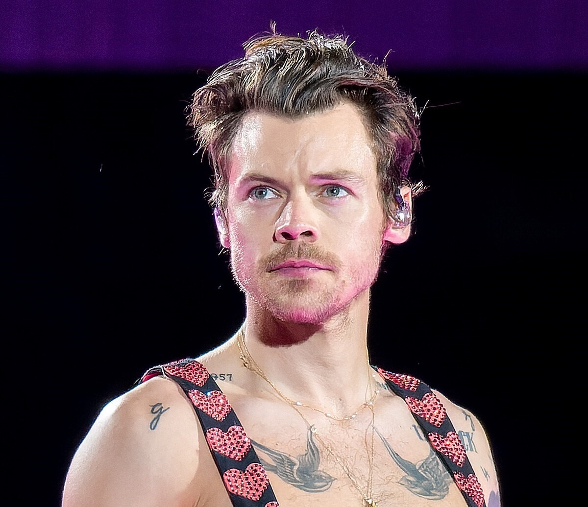 Harry Styles Moves To Budapest - BudAPPest