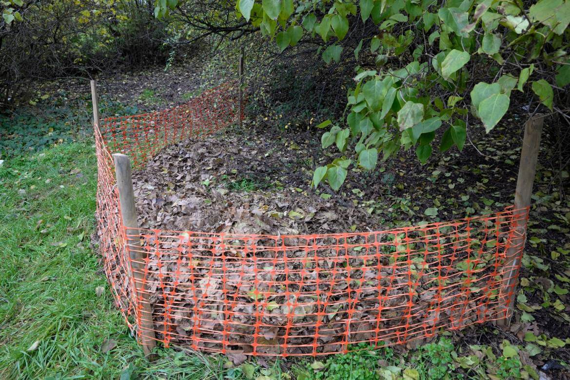 Budapest's Green Initiatives: Winter Wonderland for Hedgehogs - BudAPPest