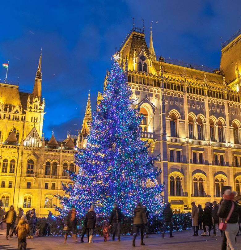 Update - The Special Christmas Tree of Hungary: A 45-Year-Old Fir from ...