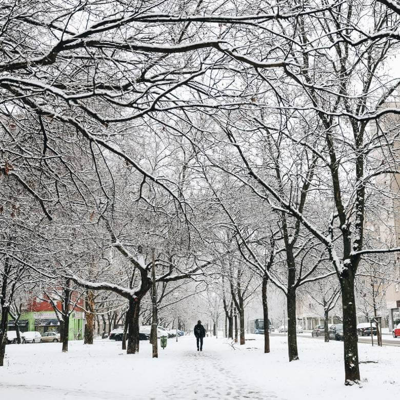 Budapest Woke Up To Unexpected Snowfall - BudAPPest