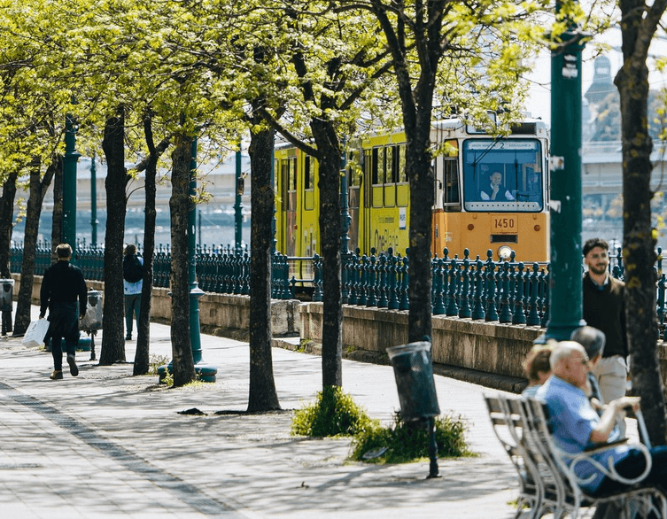 Buda Castle: A timeless icon of Hungarian history in Budapest - BudAPPest